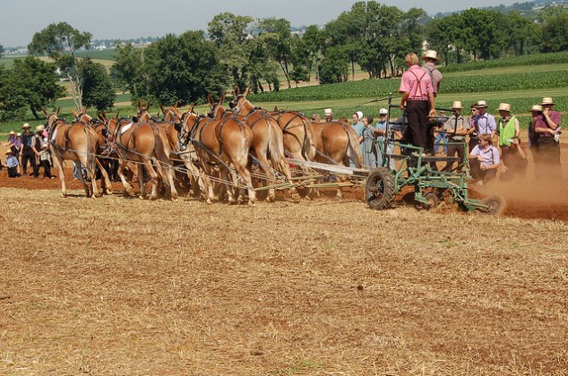 Horse-powered equipment makes lots of progress - Farm and Dairy