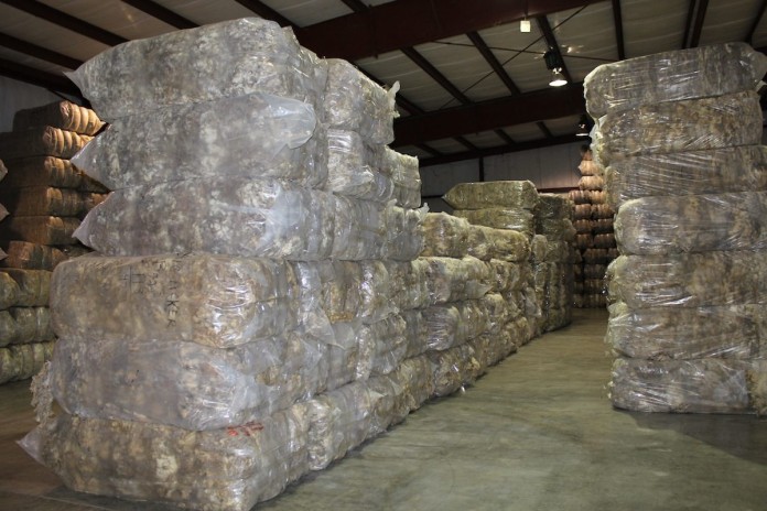 Ohio wool growers learn how to make a better cut - Farm and Dairy