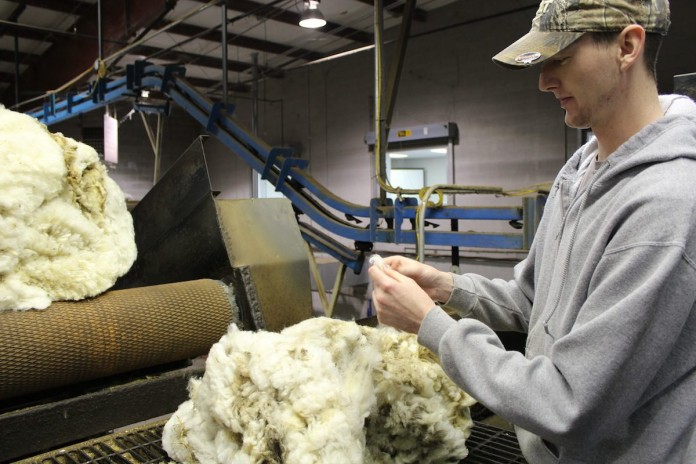 Ohio wool growers learn how to make a better cut - Farm and Dairy