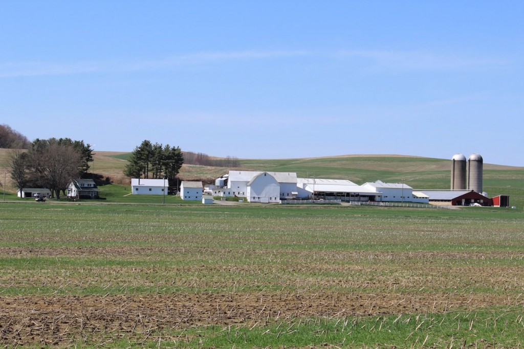 Specht dairy: More space plus good management equals more milk - Farm ...