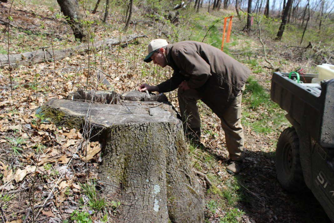 Off the beaten path: ODNR Tree Farmer of the Year’s long road to ...