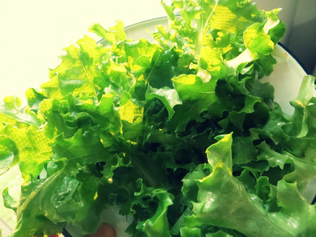 Grow more with less: Cut and grow-again garden vegetables - Farm and Dairy