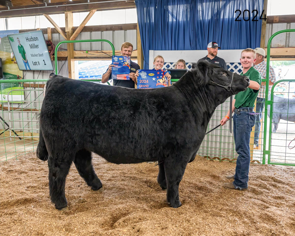 GRAND CHAMPION MARKET STEER: HUDSON MILLER - Farm and Dairy