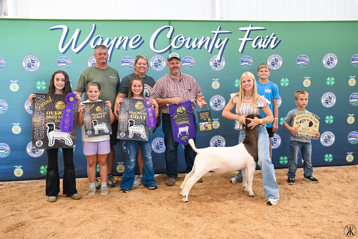 2024 Wayne County Junior Fair Sale results - Farm and Dairy