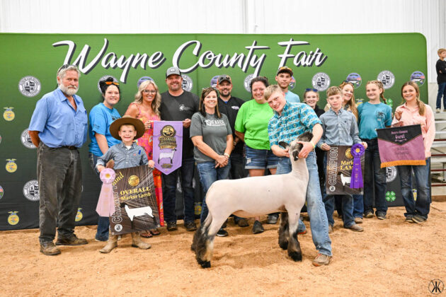 2024 Wayne County Junior Fair Sale results - Farm and Dairy