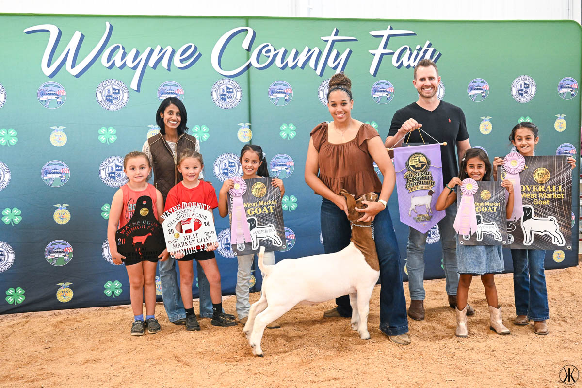 2024 Wayne County Junior Fair Sale results - Farm and Dairy