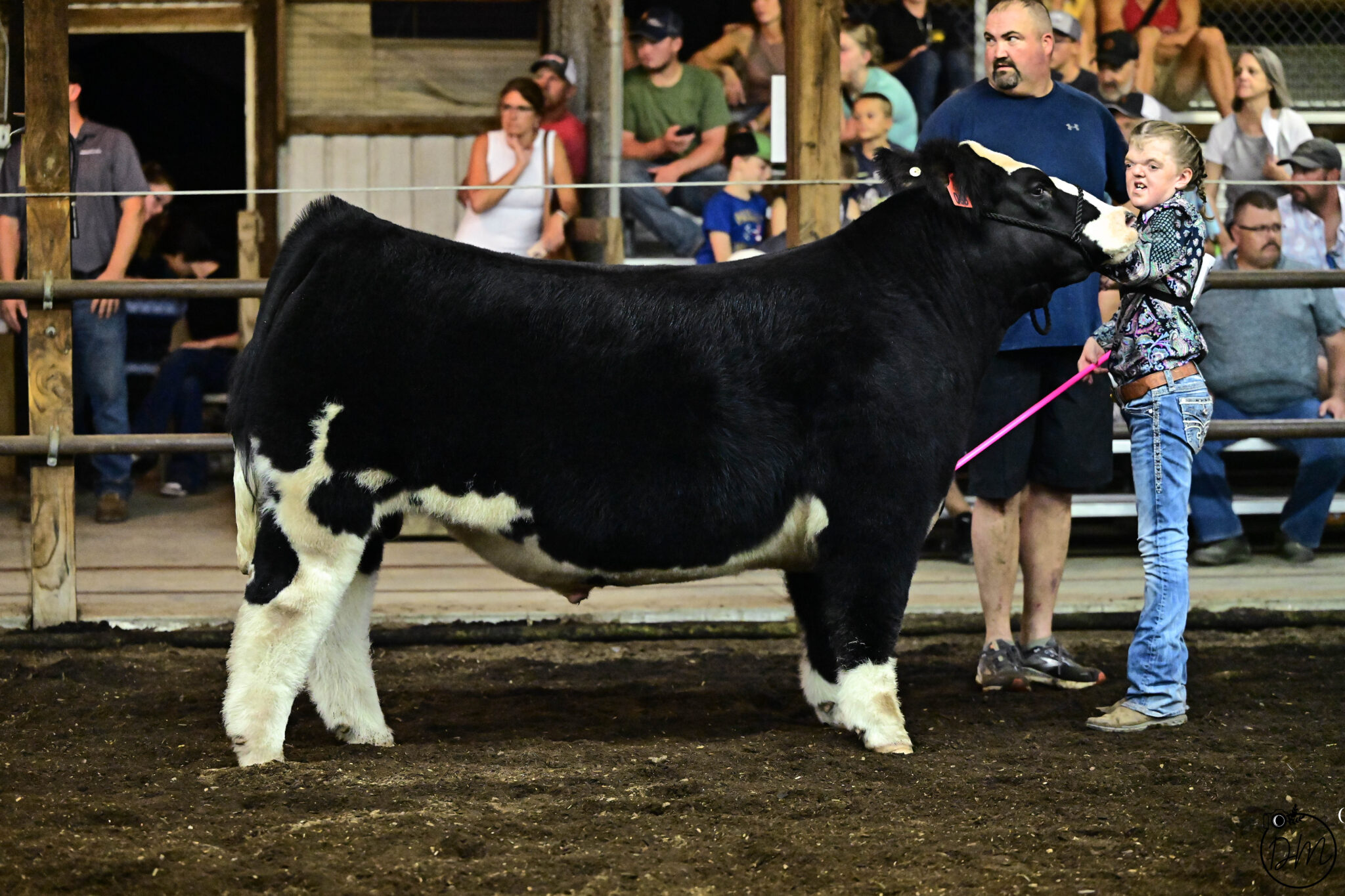 Claire Coumos claims grand champion beef banner at Portage County ...