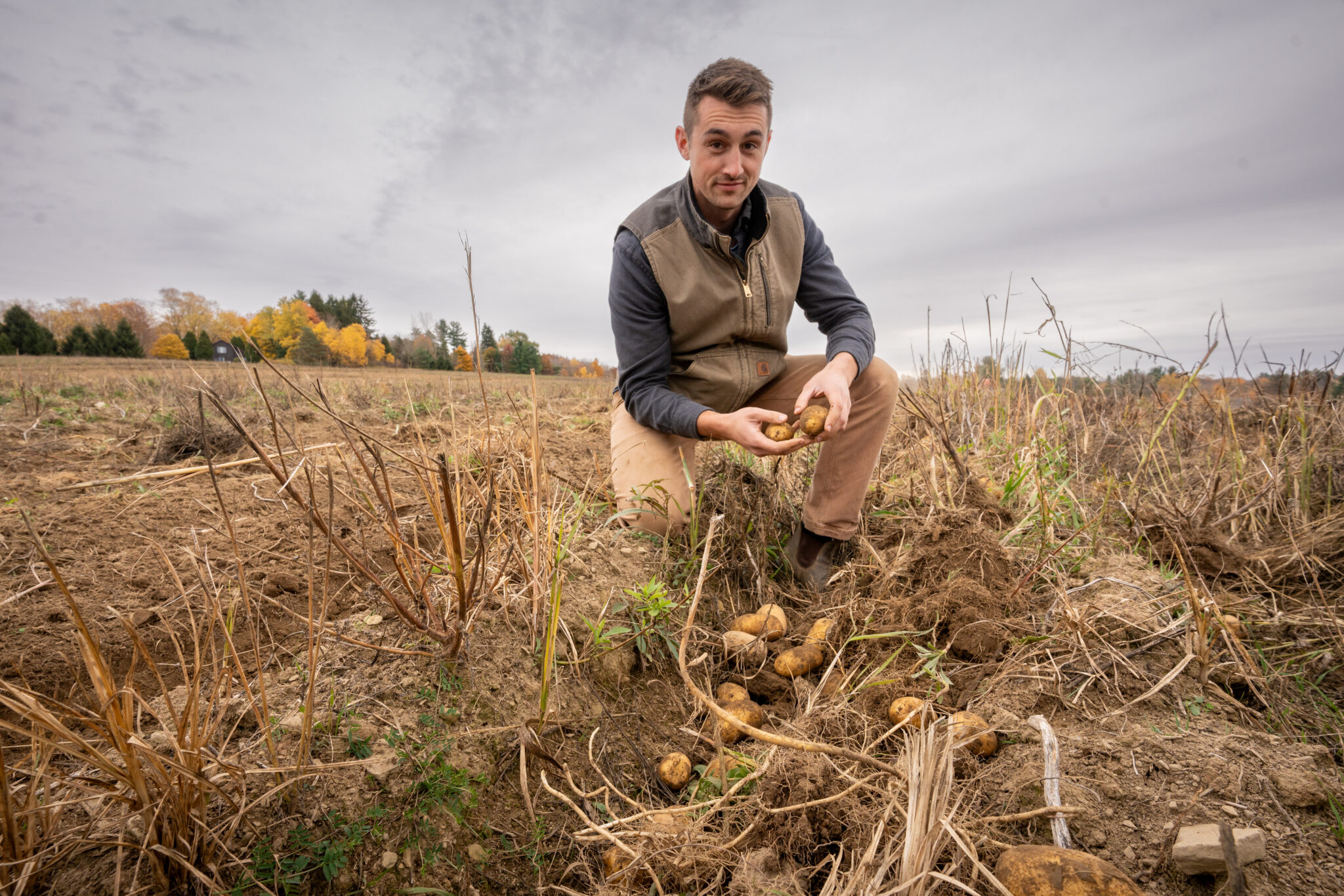 Troyer brothers reinvent potato business with organic French fries ...