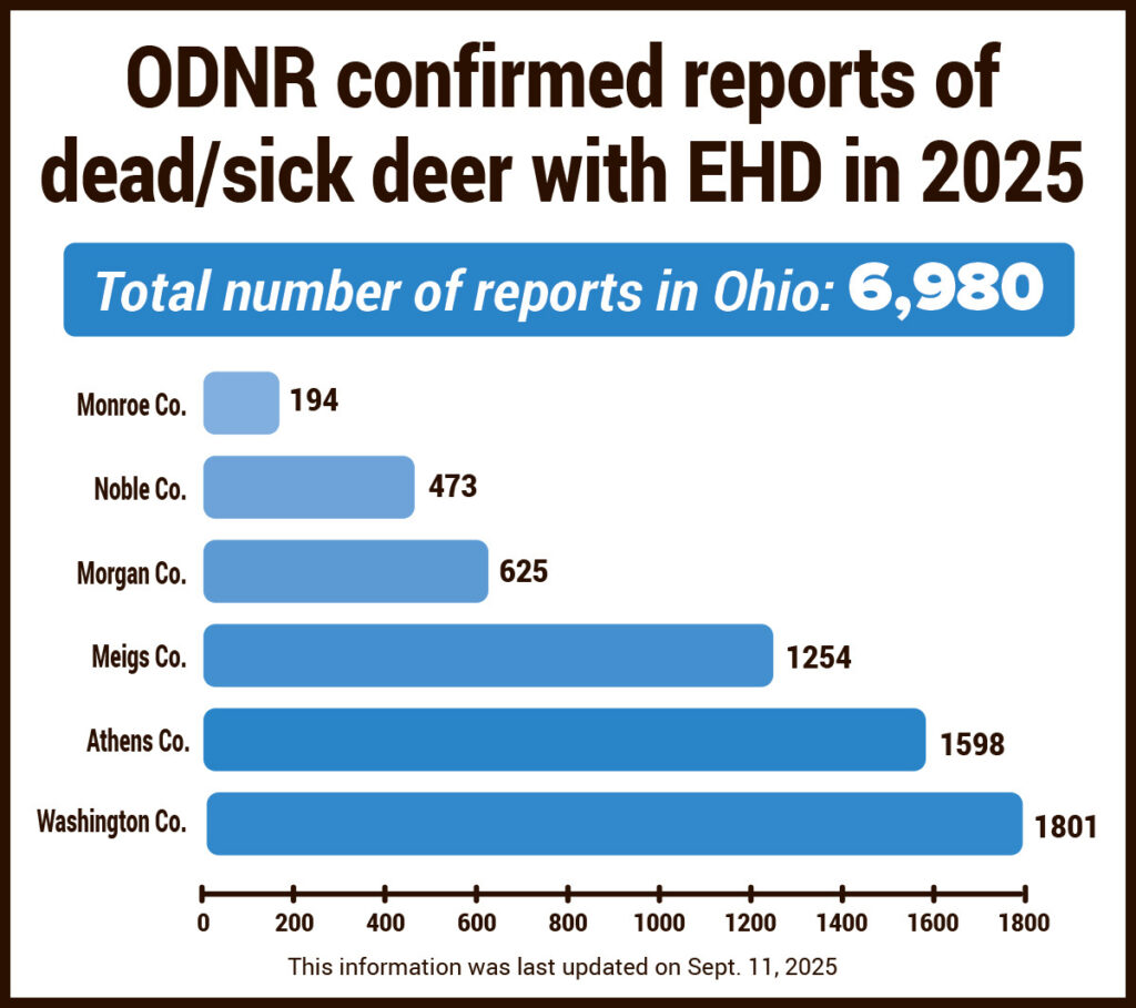 Thousands of deer infected with EHD in southeast Ohio - Farm and Dairy