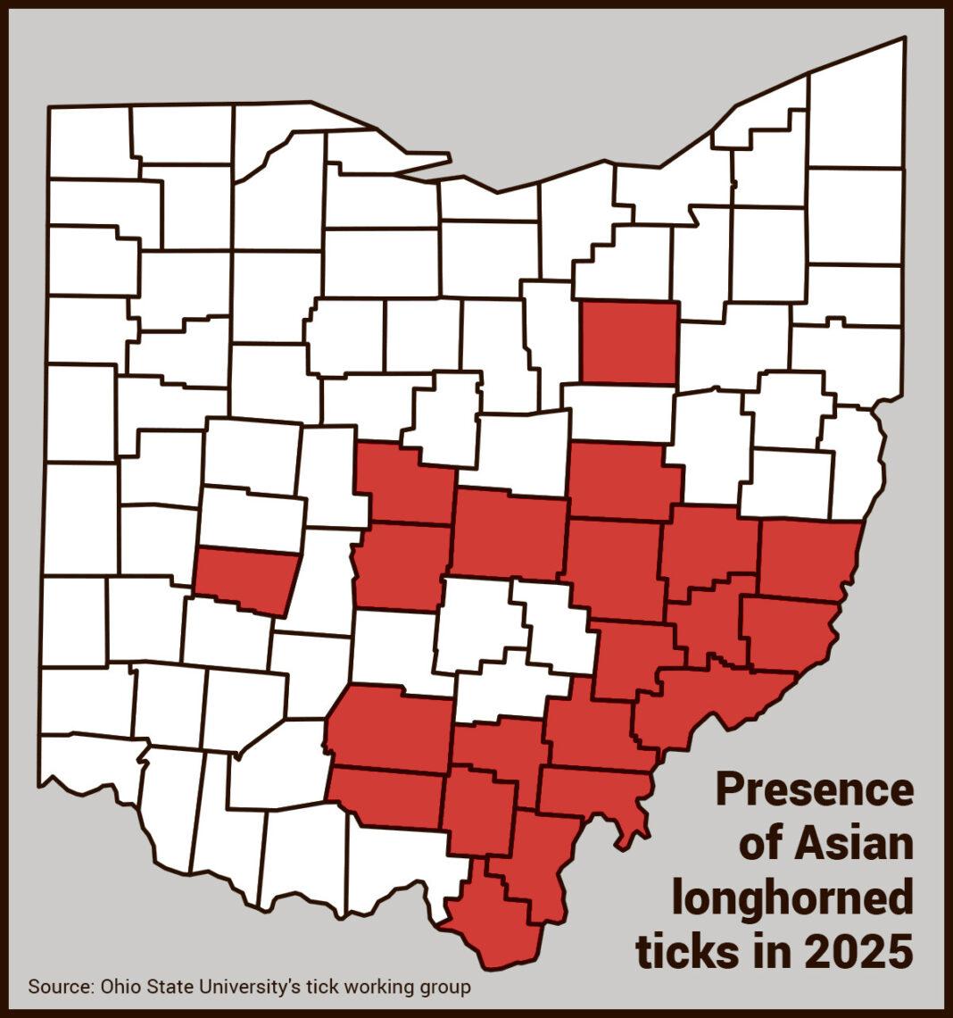 Ohio State combats Asian longhorned tick with new tick testing service ...