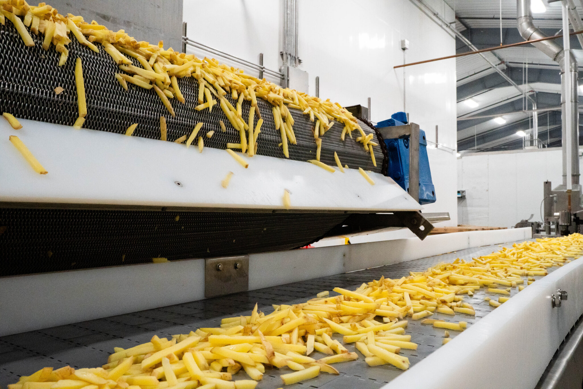 Troyer brothers reinvent potato business with organic French fries ...