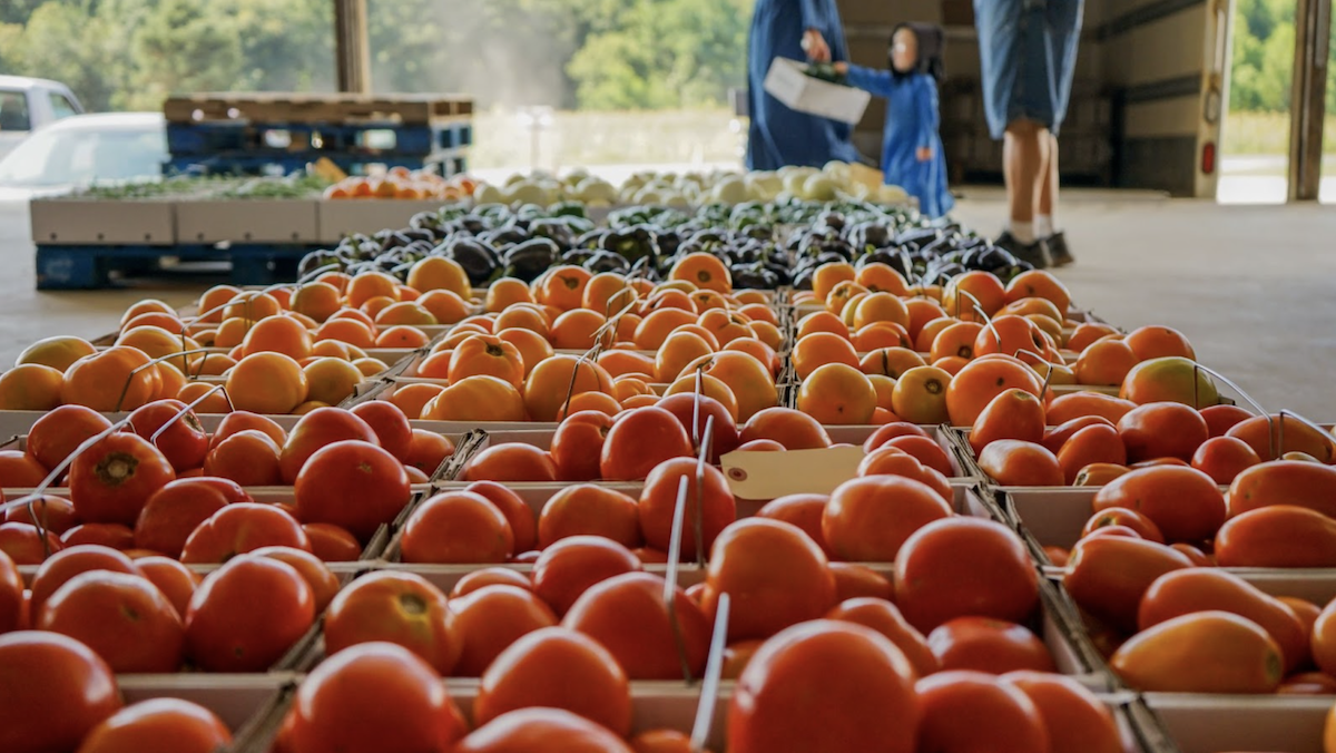 Fresh, affordable, local: Ohio's Amish produce markets keep communities ...